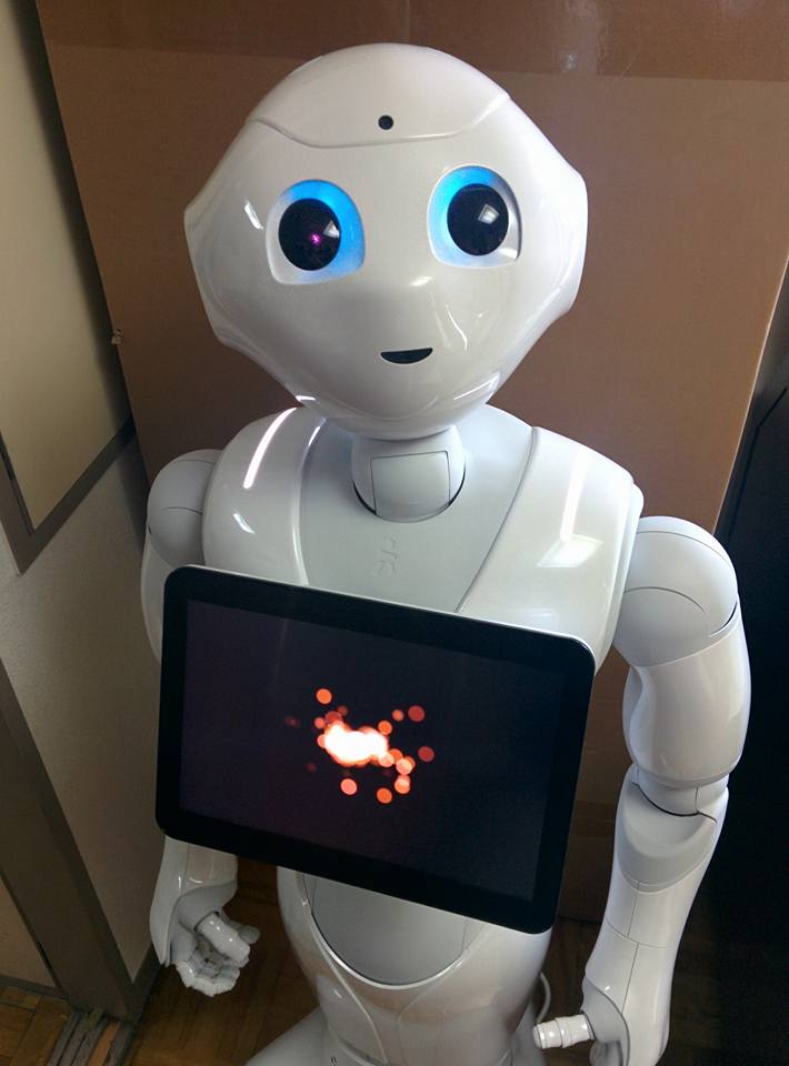 PepperをROSで動かす：Teleop – demura.net